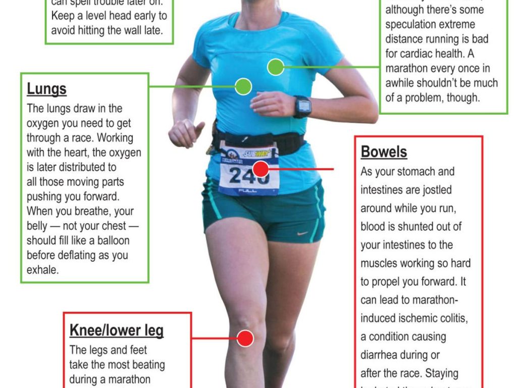 Why Marathons are Bad for Your Health – Marathoners